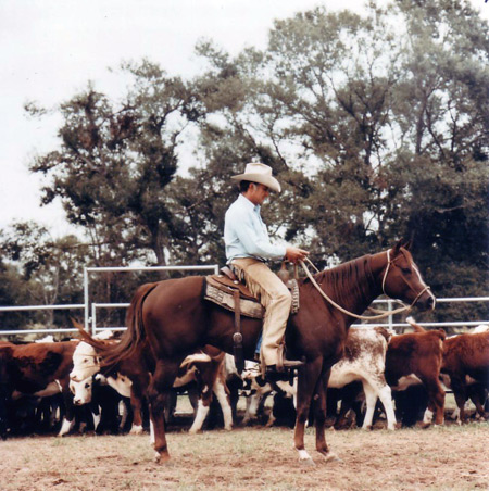 Skipa Red Star - Los Jaboncillos Ranch