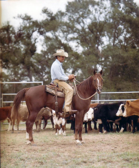 Skipa Red Star - Los Jaboncillos Ranch